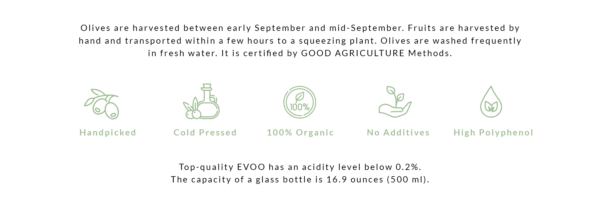 Hermus Olive Oil | Hermus Olive Oil